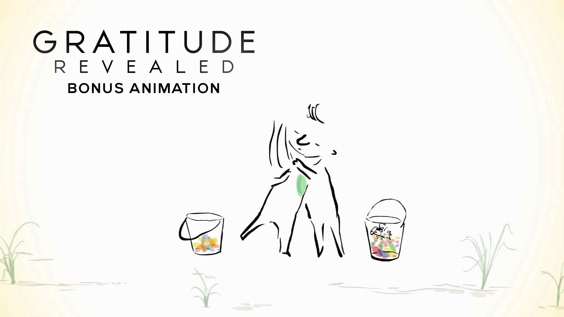 Gratitude Revealed