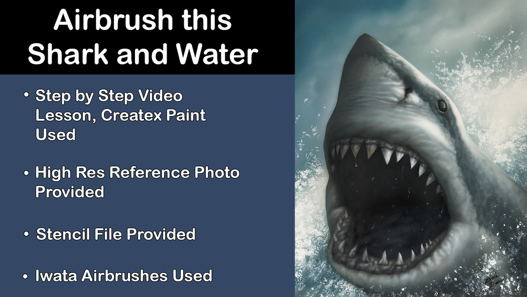 Shark | Airbrush University