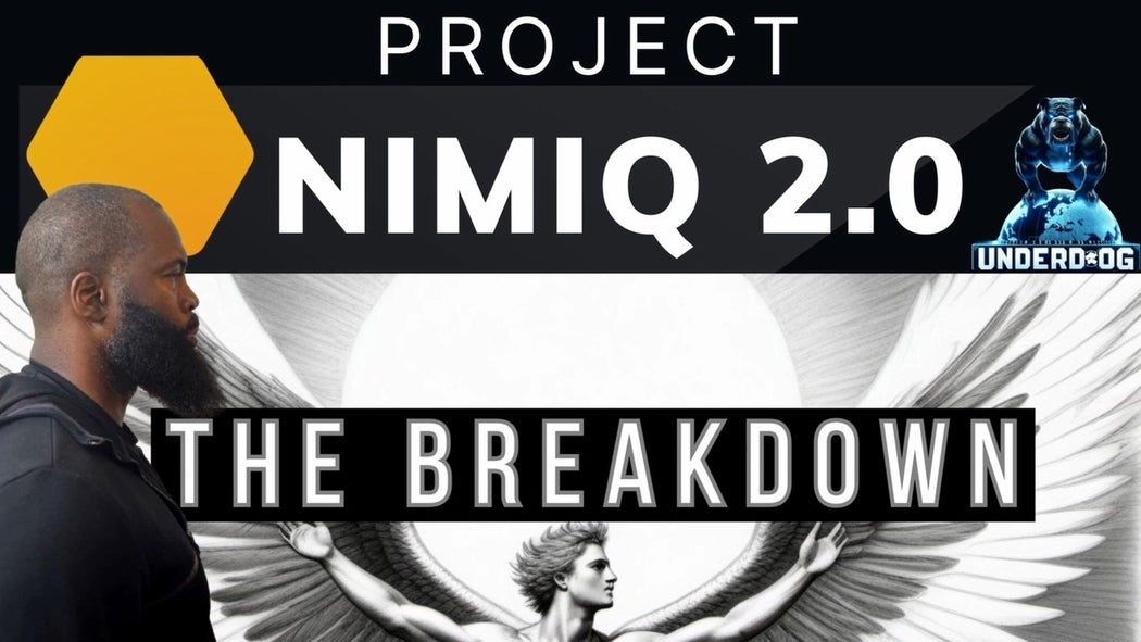 PROJECT NIMIQ 2.0: THE BREAKDOWN