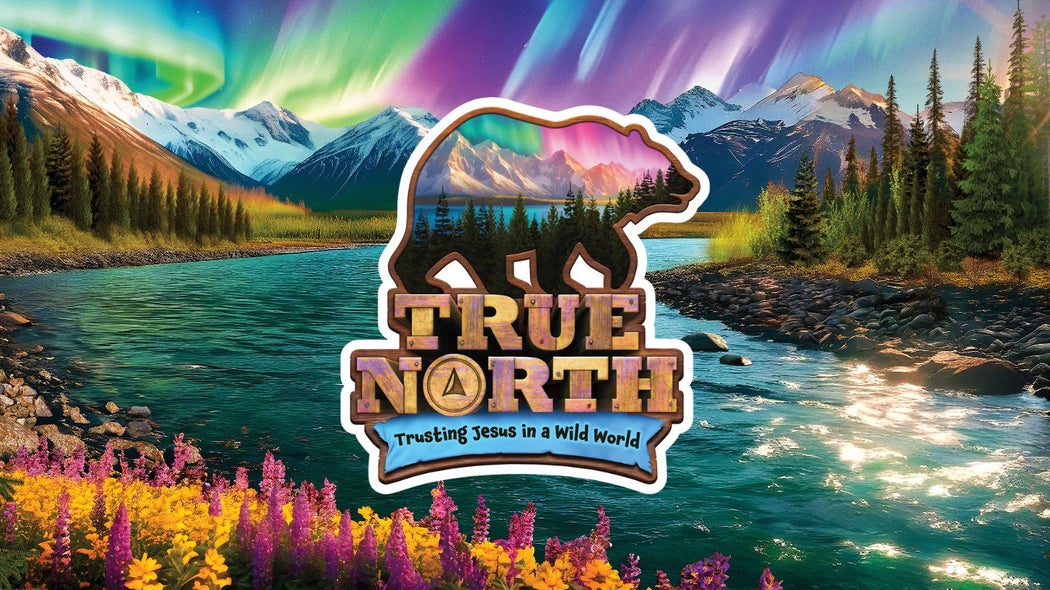 True North VBS