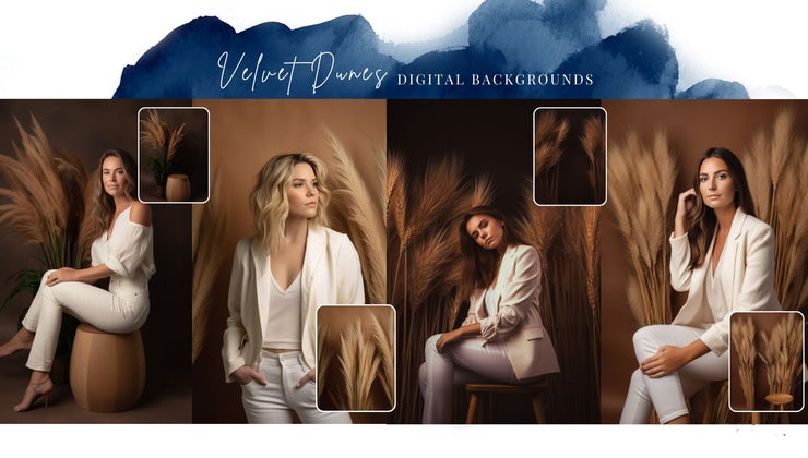 Finding North Educational Resources for Photographers | Velvet Dunes Digital Backgrounds