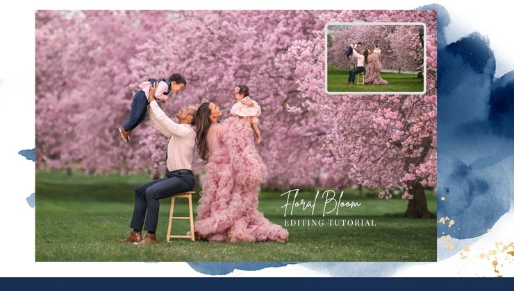 Finding North Educational Resources for Photographers | Floral Bloom ...