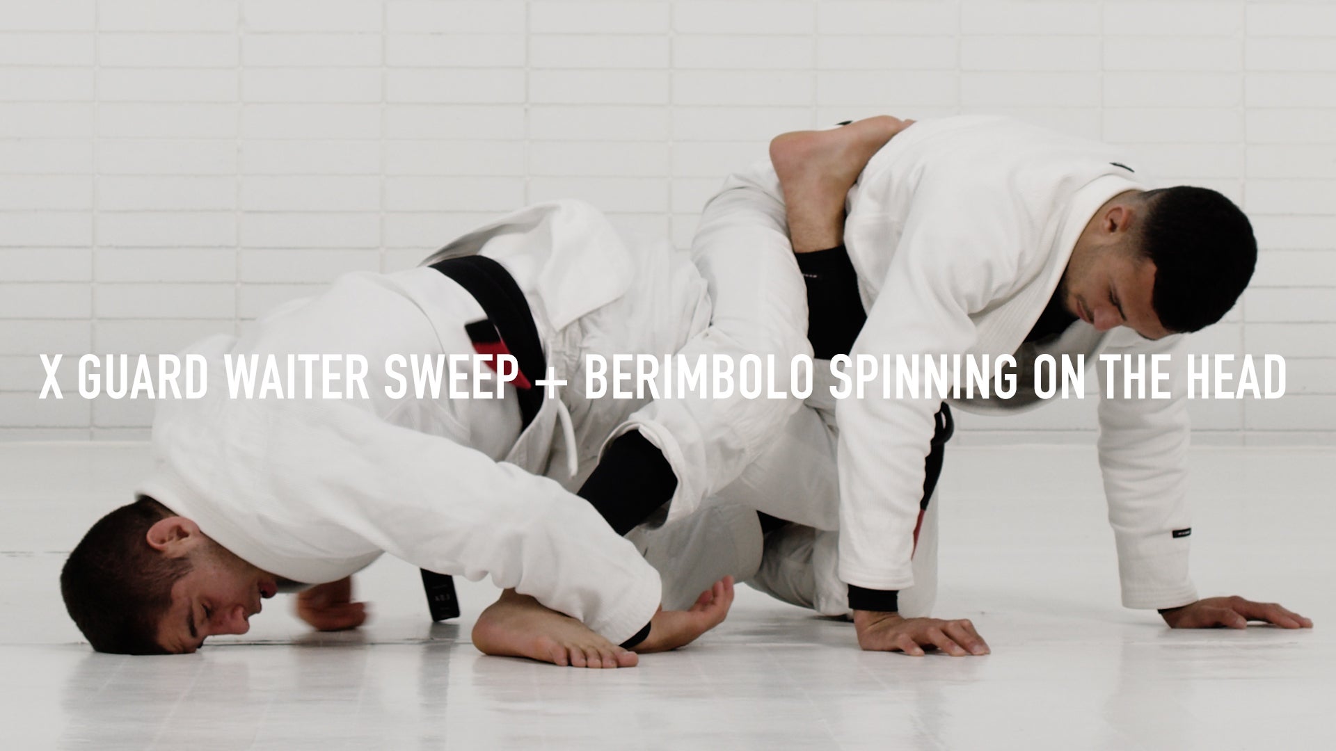 X Guard 2.0 Masterclass