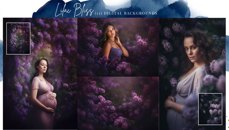 Finding North Educational Resources for Photographers | Lilac Bliss Digital Backgrounds