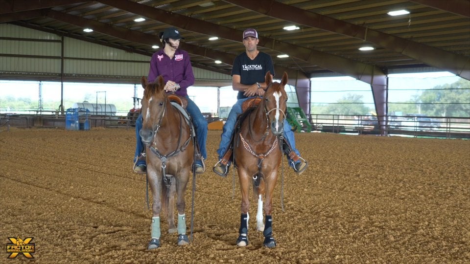 Abby Fields Performance Horses Featuring Andre Renata Coelho