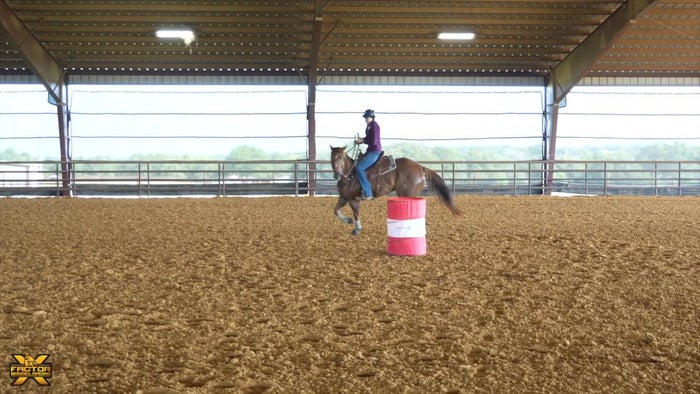 Abby Fields Performance Horses Featuring Andre Renata Coelho