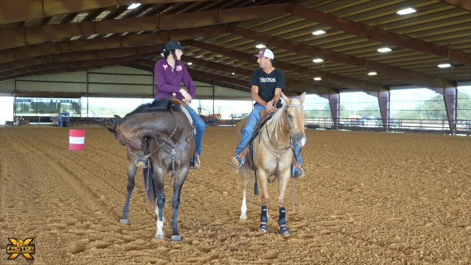 Abby Fields Performance Horses Featuring Andre Renata Coelho