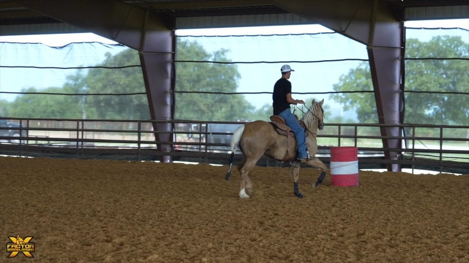 Abby Fields Performance Horses Featuring Andre Renata Coelho