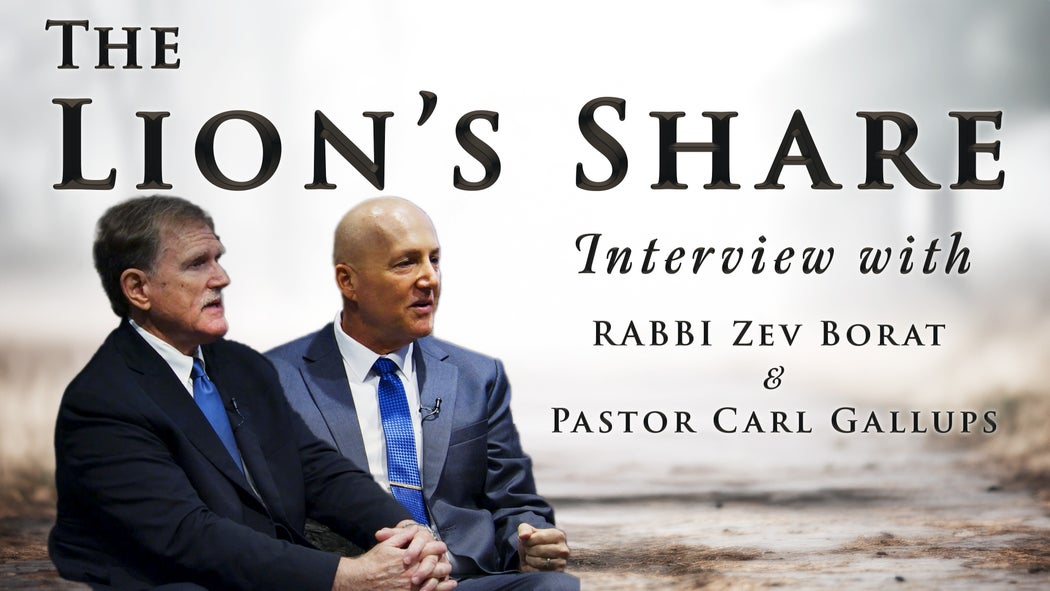 The Lion's Share