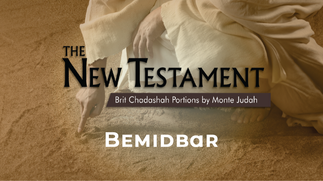 Lion & Lamb Ministries | Catalog