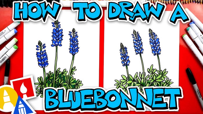 bluebonnet drawing simple