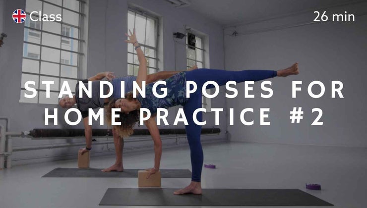 TINT Yoga | Standing Poses for Home Practice #2 | Desirée Rumbaugh