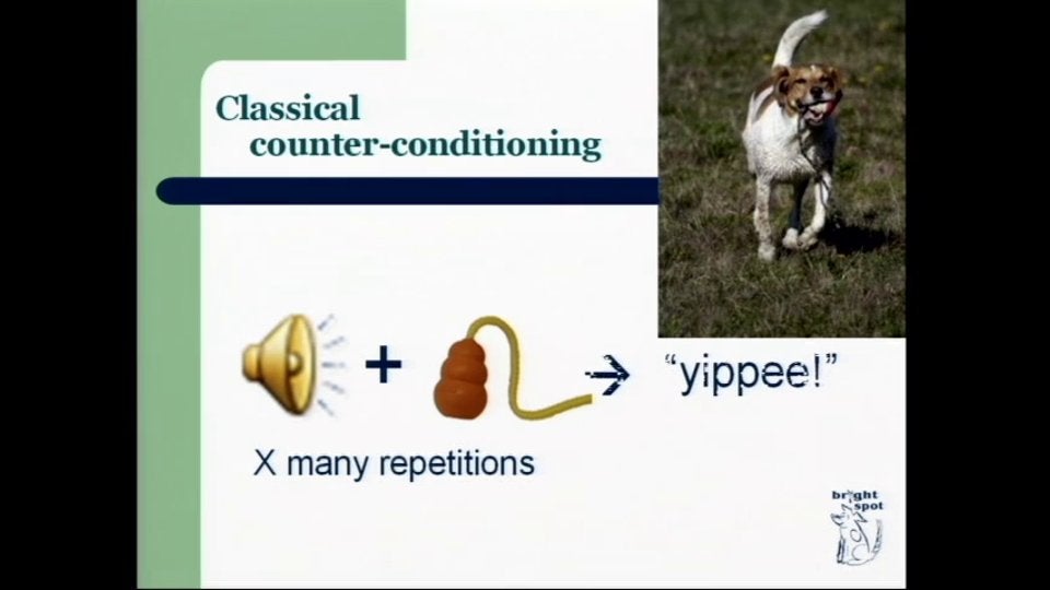 Counter-Act!: The Role of Counter-Conditioning & Desensitization in ...