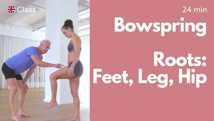 TINT Yoga | Roots of the Bowspring | Desi Springer and John Friend