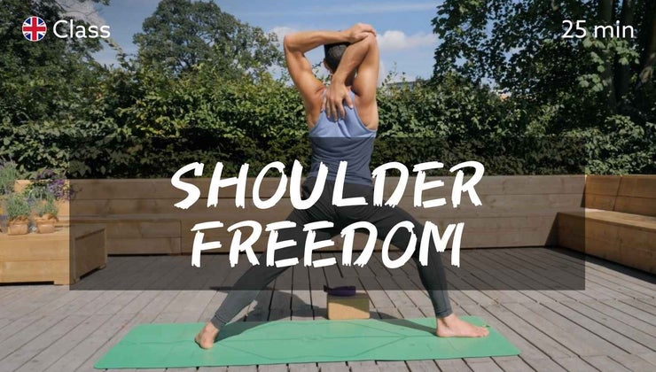 TINT Yoga | Shoulder Freedom | Matt Giordano