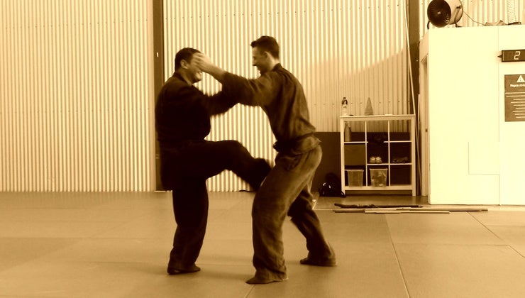 Onmitsu Kage Streaming | Australia - Koto Ryu Koppojutsu