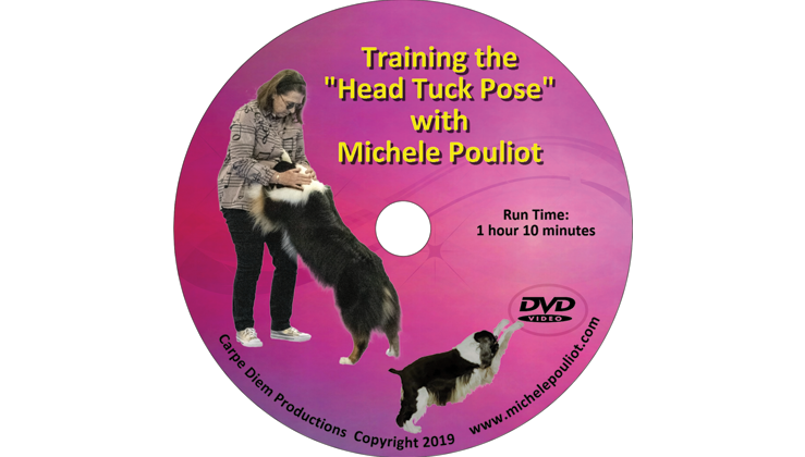 Training "Head Tuck" - Michele Pouliot's Trick Behavior Tutorial Series ...