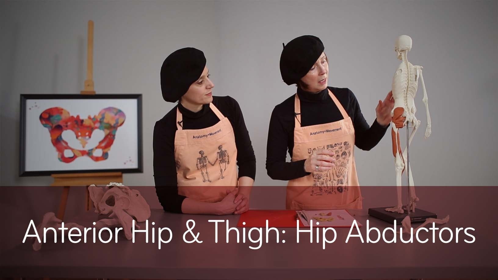 Anatomy + Movement™ Section 1: Lower Body (Hip to Knee) | Balanced Body ...