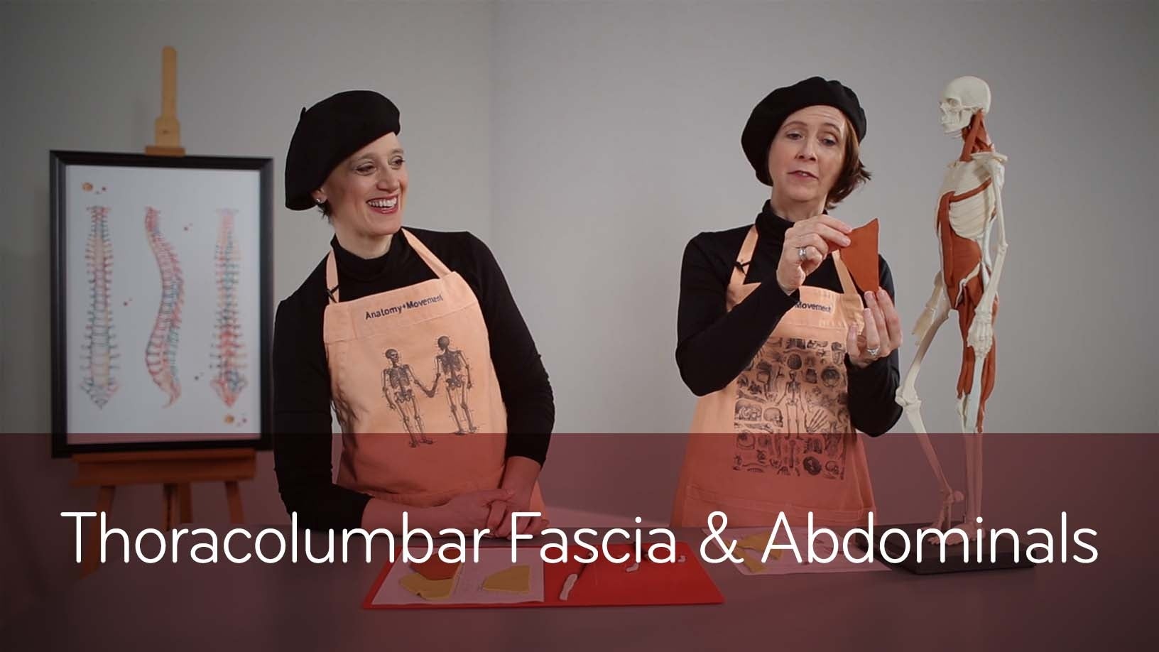 Anatomy + Movement™ Section 2: Torso | Balanced Body Education Video