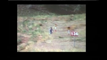 Predicting and Handling Aggression | Tawzer Dog