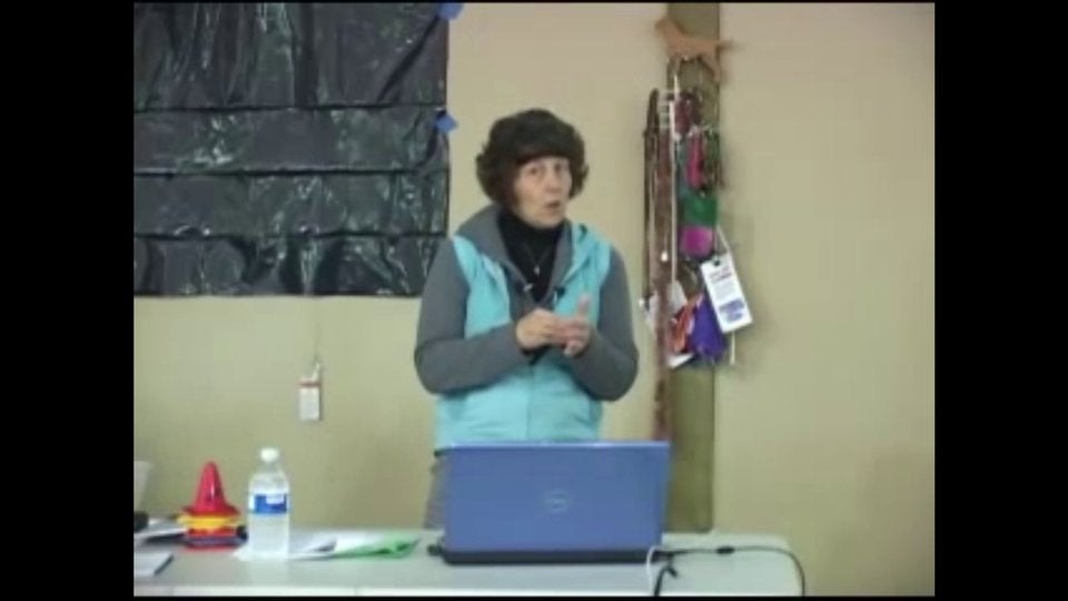 T.A.P Dancing for Success | Tawzer Dog