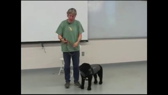 Predicting and Handling Aggression | Tawzer Dog