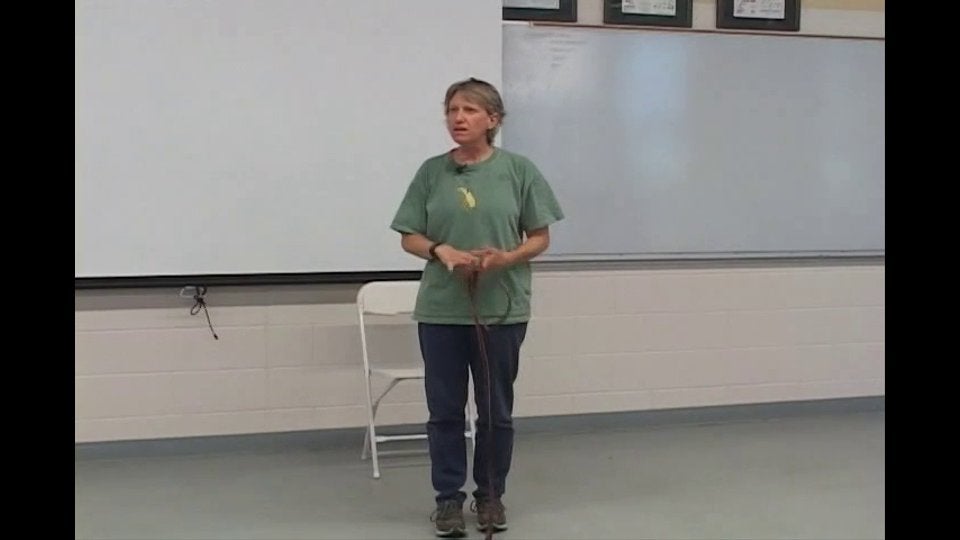 Predicting and Handling Aggression | Tawzer Dog