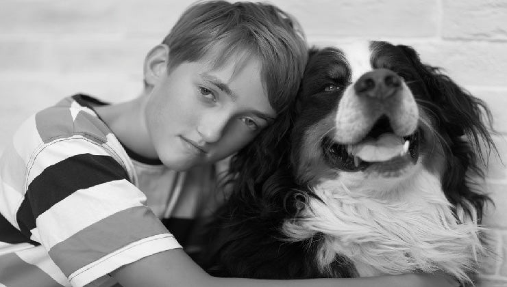 HOPE Animal-Assisted Crisis Response: Dogs at Work | Tawzer Dog