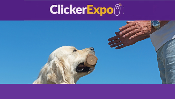 Hold It, Get it, Bring It, Give It!: The Multi-Purpose Clicked Retrieve | Video on Demand by ...