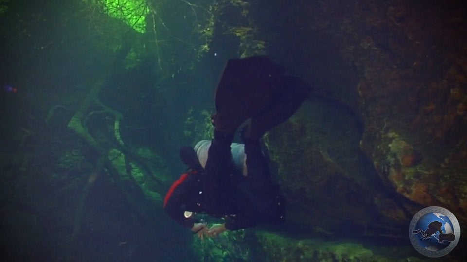 Master Diving Propulsion: Essential Kick Techniques