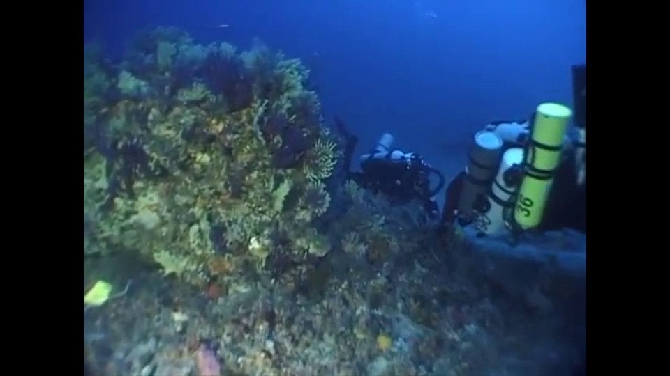 Explore the Aquatic Realm with Global Underwater Explorers