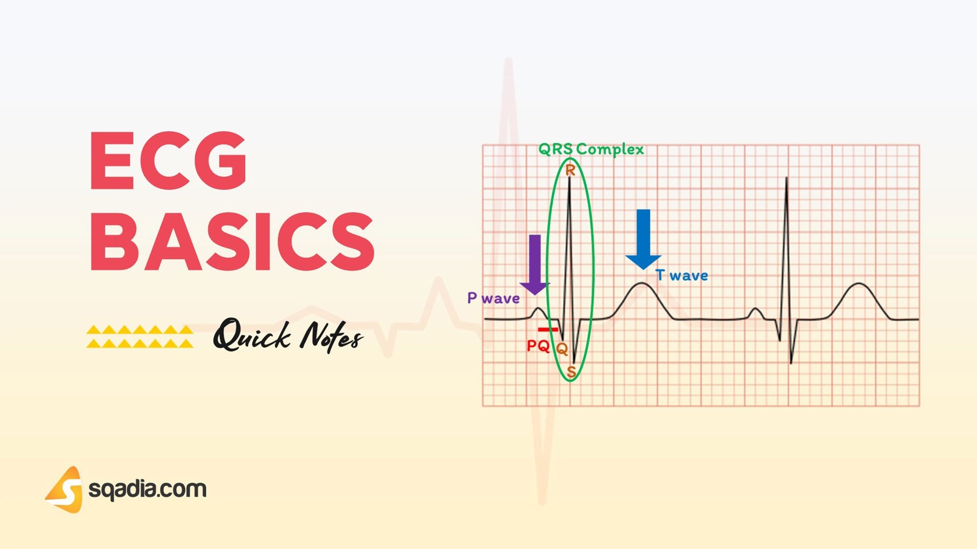 ECG Basics Introduction