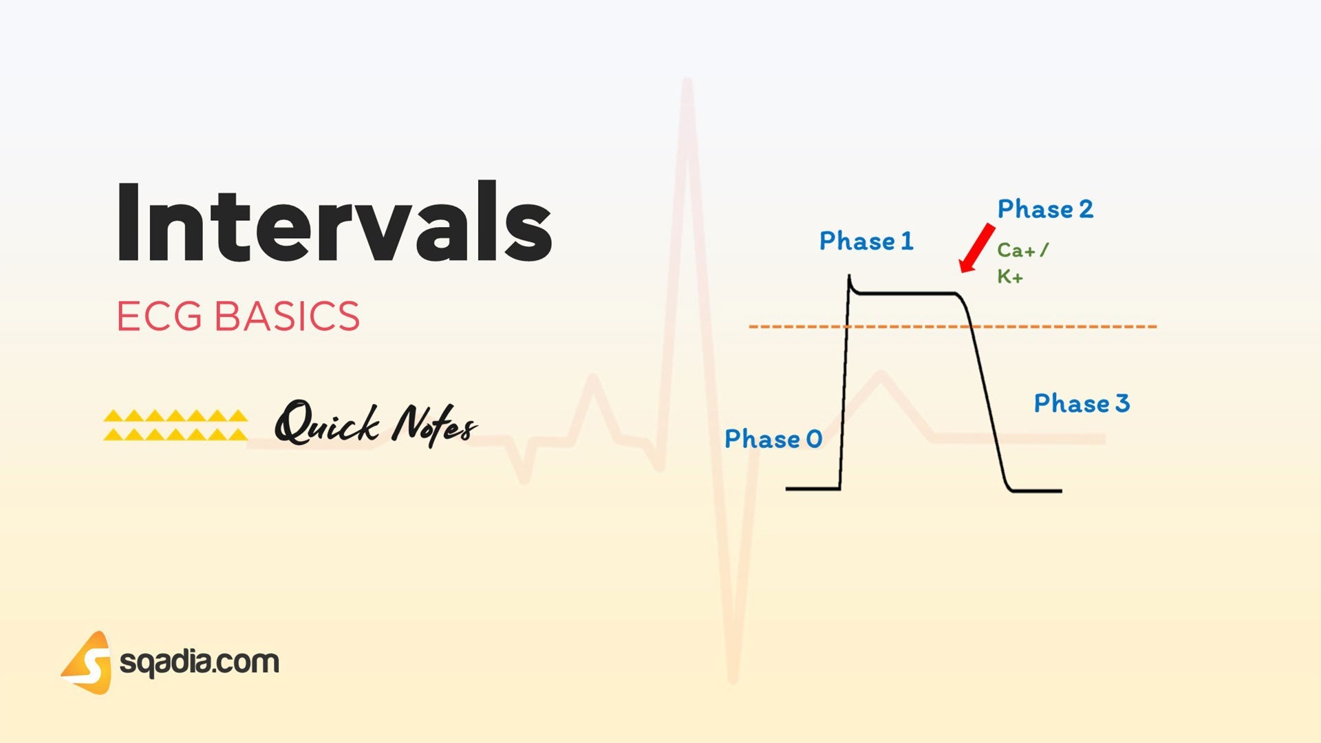 ECG Basics - Intervals