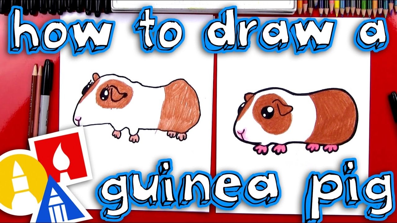 How To Draw A Guinea Pig | Art For Kids Hub