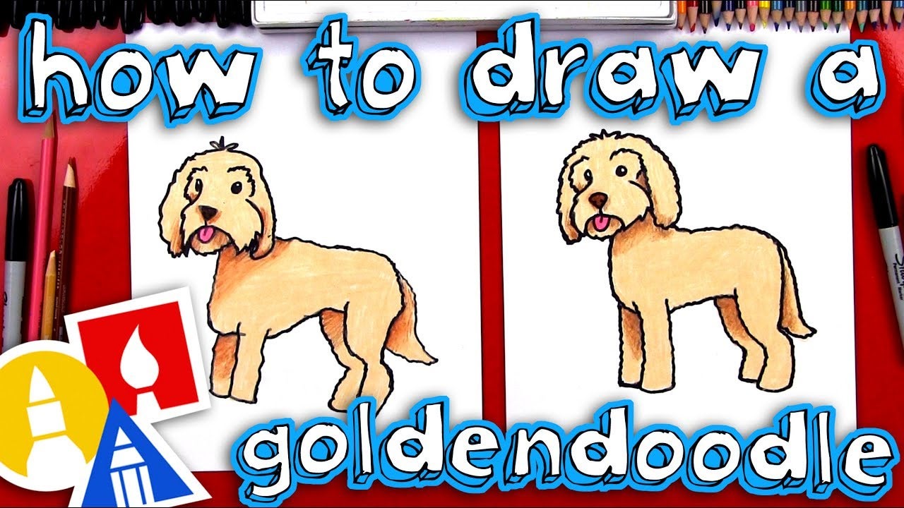 How To Draw A Goldendoodle | Art For Kids Hub