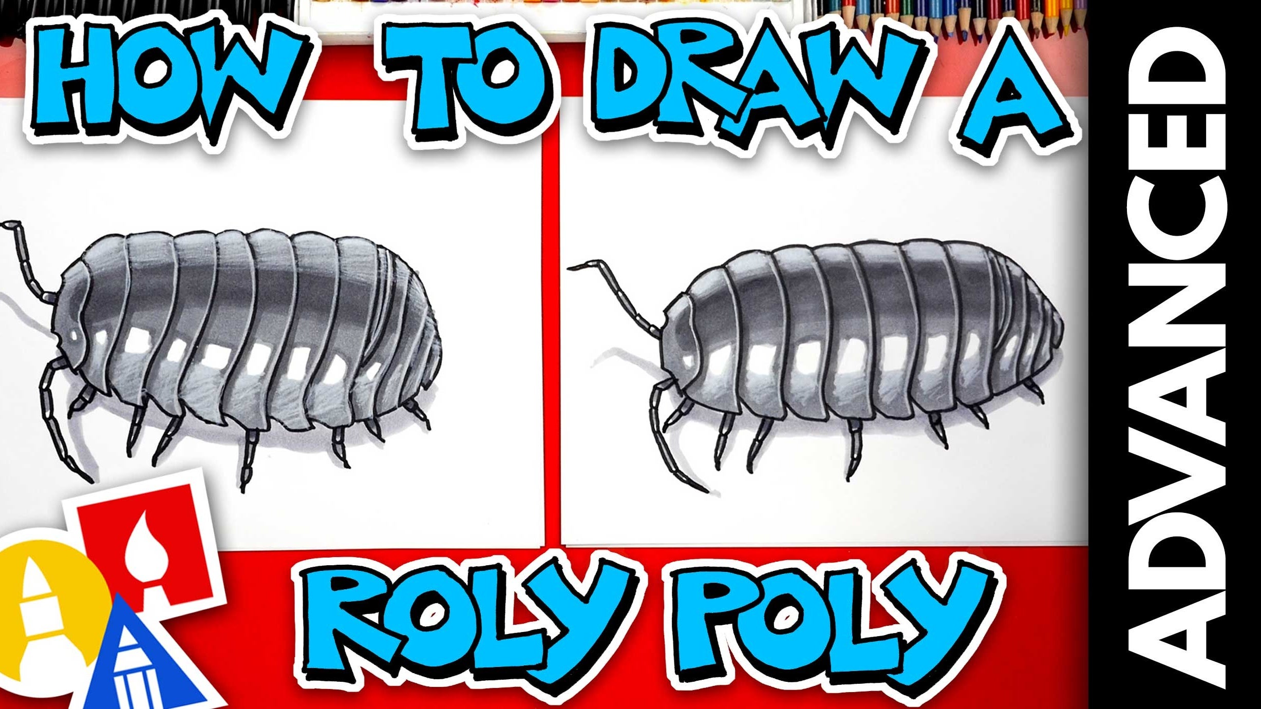 How To Draw A Roly-Poly Pill Bug Realistic | Art For Kids Hub