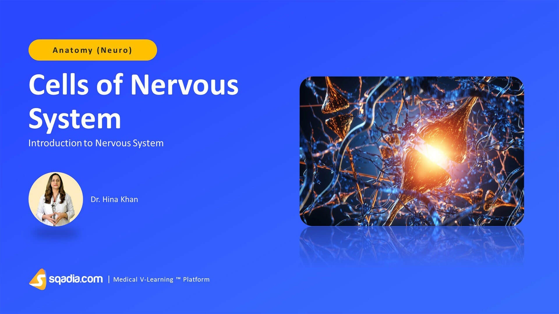 Introduction to Nervous System - Cells of Nervous System Introduction to Nervous System - Cells of Nervous System